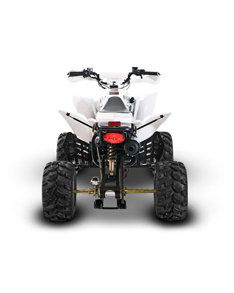 Big Boy Gomoto ATV 150 Quad Bike - Cajees